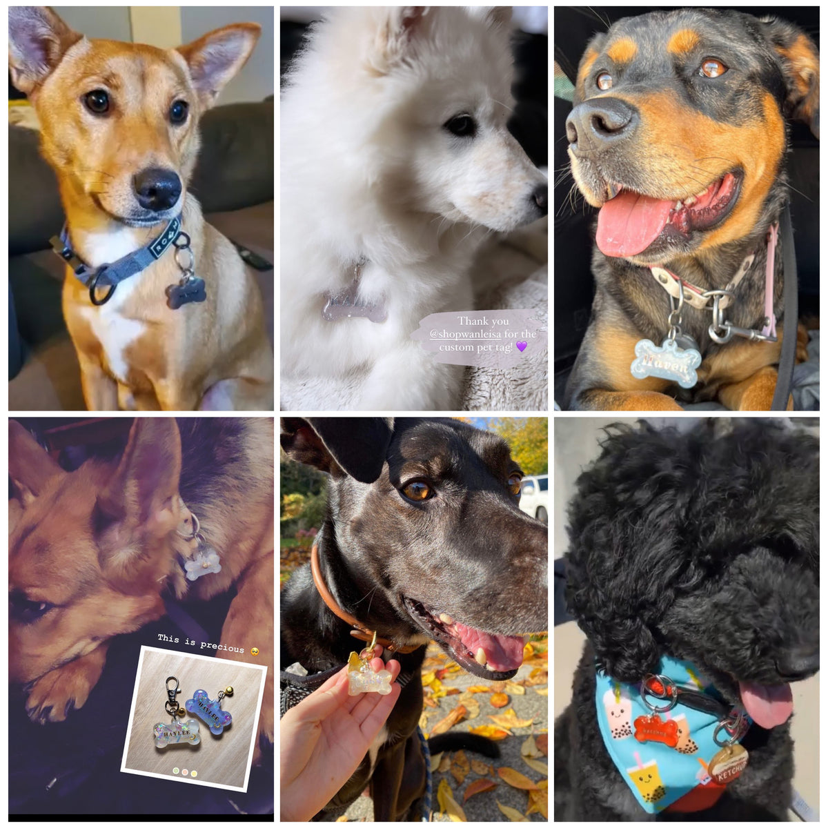 Custom Pet Tag Examples – ShopWanleisa